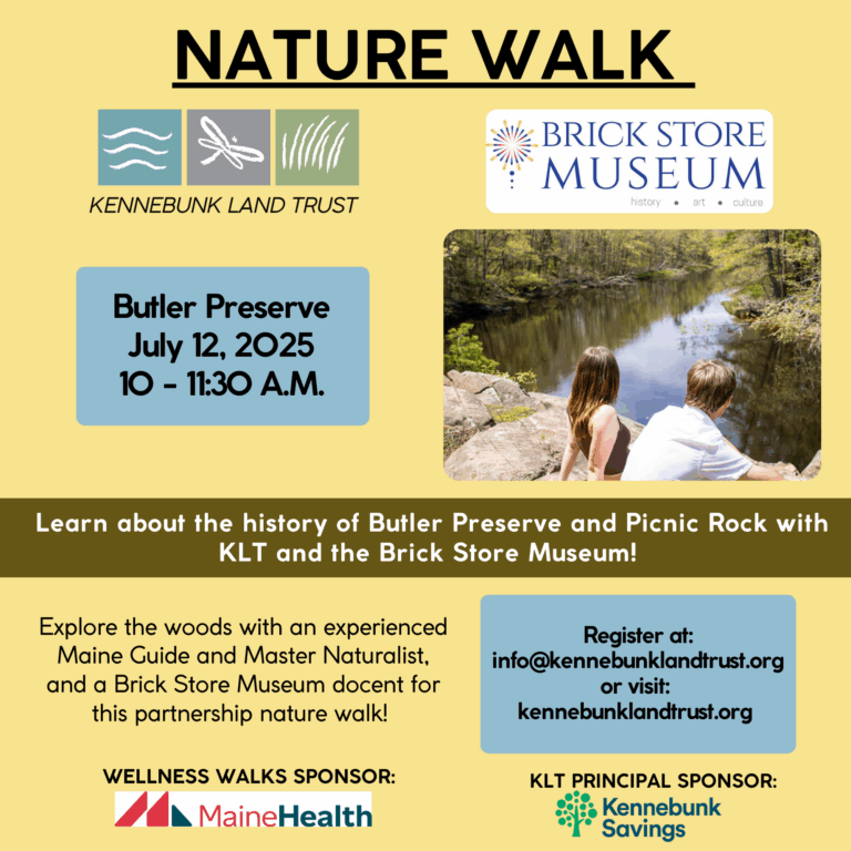 Nature Walk with Kennebunk Land Trust – Brick Store Museum